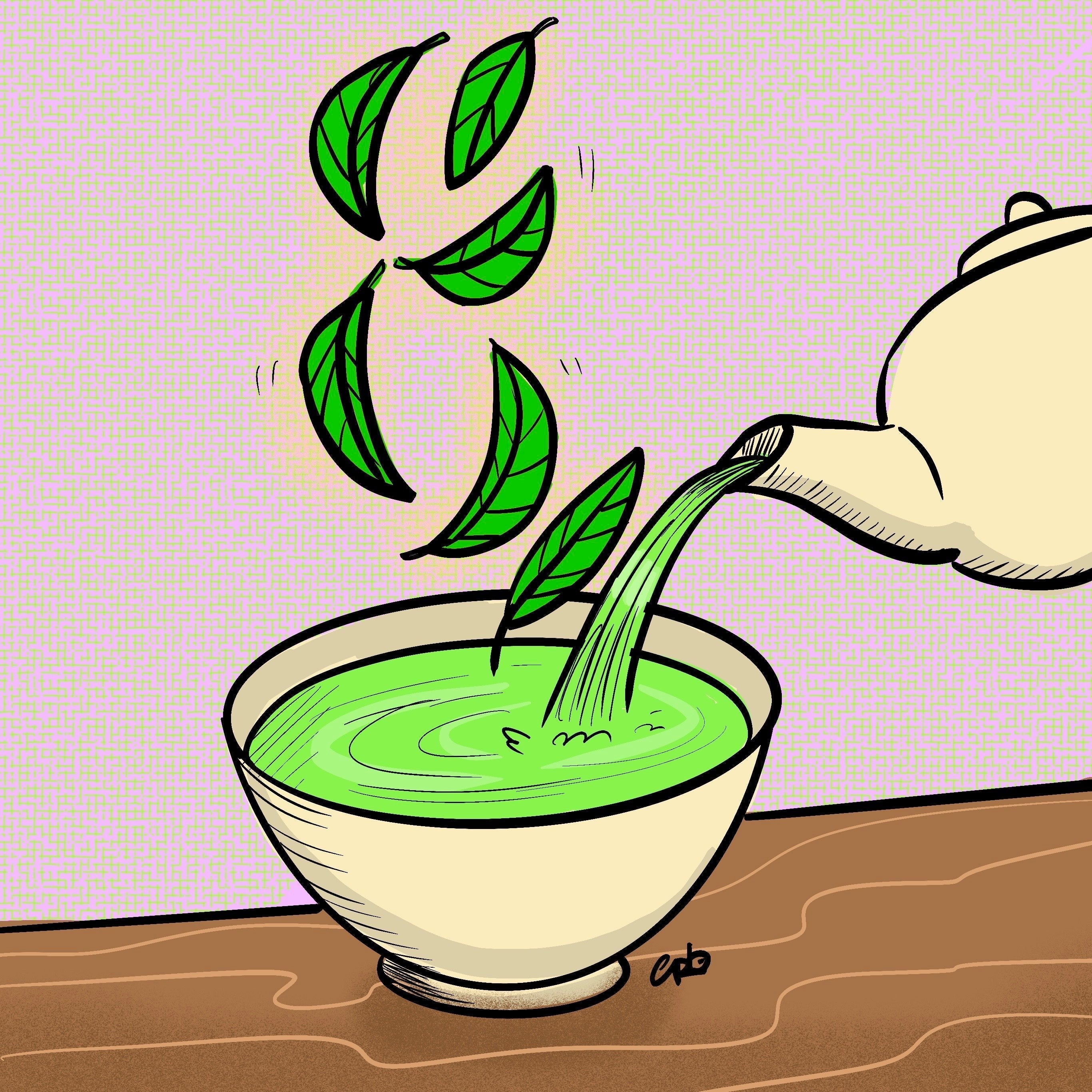 Shizuoka Matcha: A Journey from Leaf to Cup – Ocha & Co.